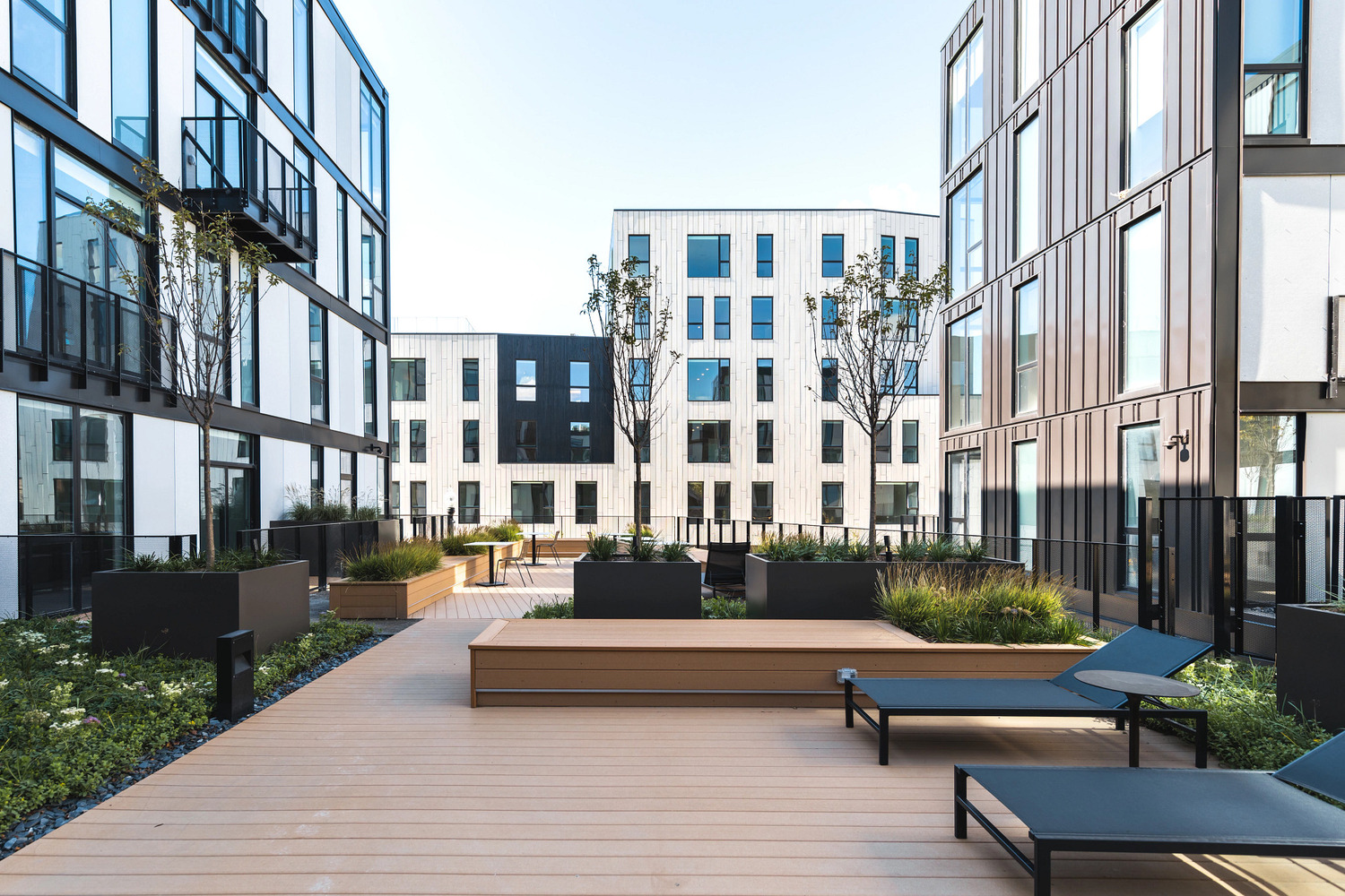 City Modern - 440 Alfred - Sachse Construction